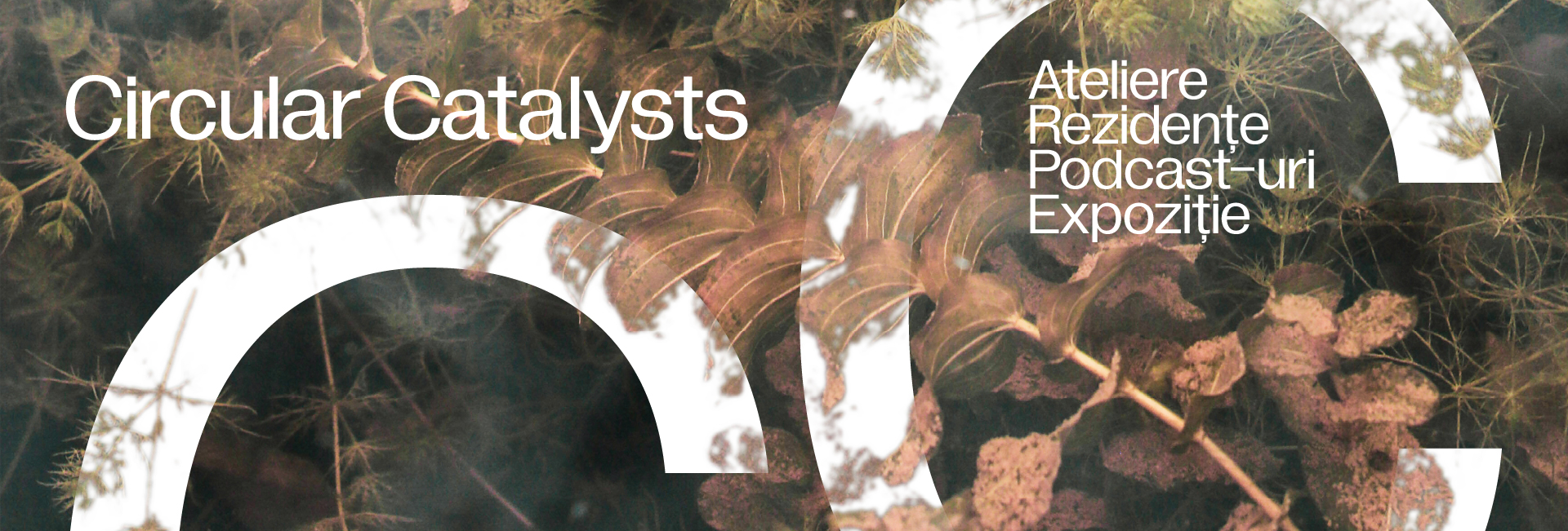 Programul Circular Catalysts: dezvoltare durabilă, design, meșteșug - România Tradițiilor Creative